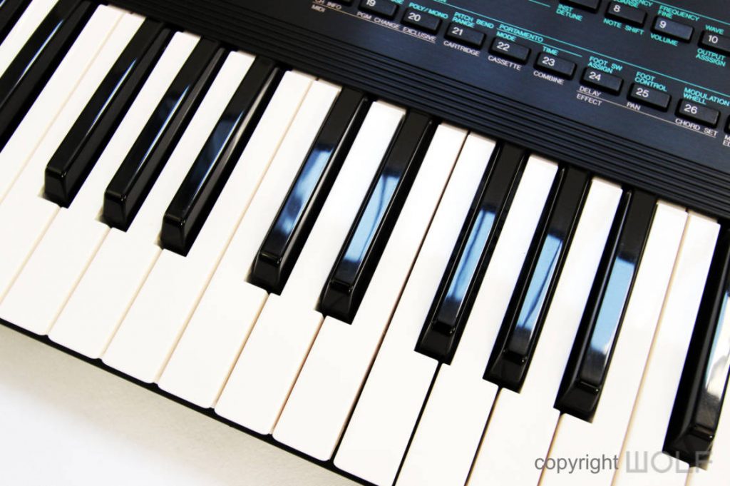 Yamaha DX11 Synthesizer (1987) | Wolf Review