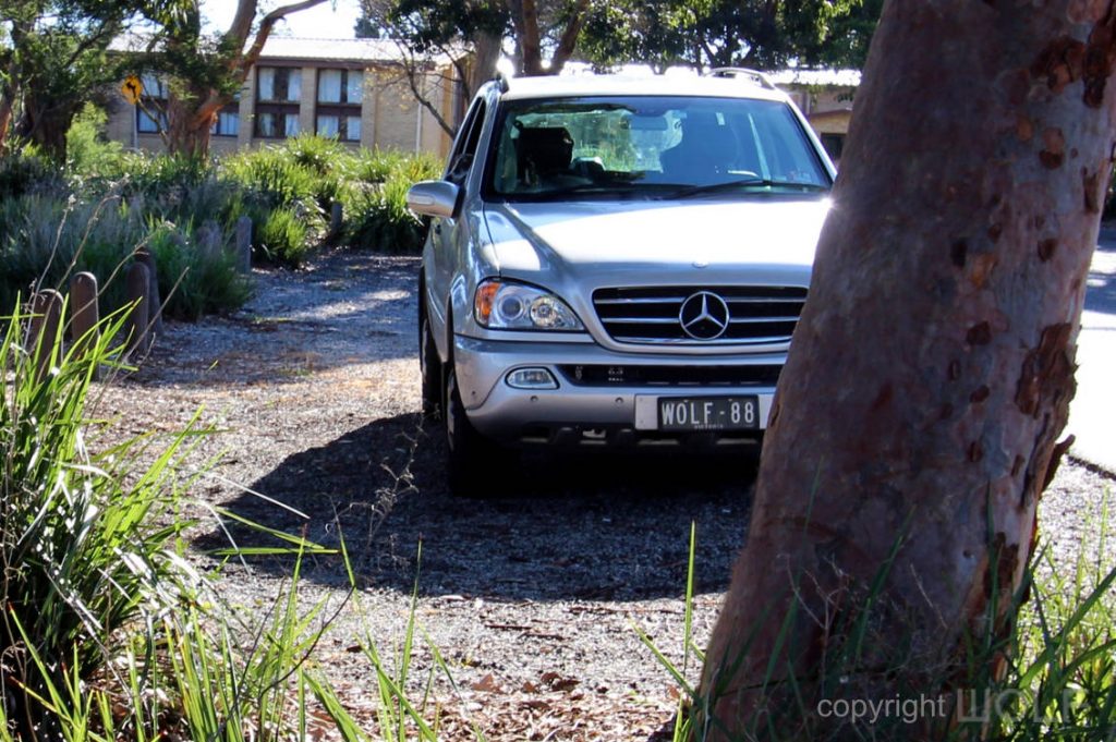 Mercedes ML (1997-2005) | Wolf Review