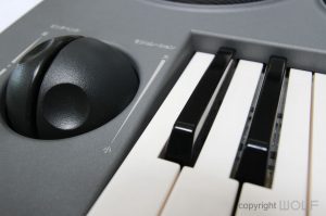 Yamaha SDX2000 (1988) | Wolf Review