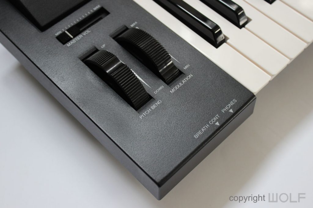 Yamaha DS55 Synthesizer (1988) | Wolf Review